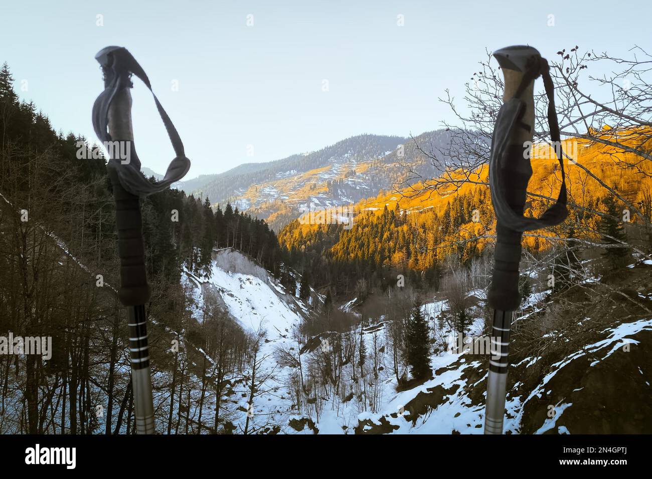 Hiking black forest poles hi-res stock photography and images - Alamy