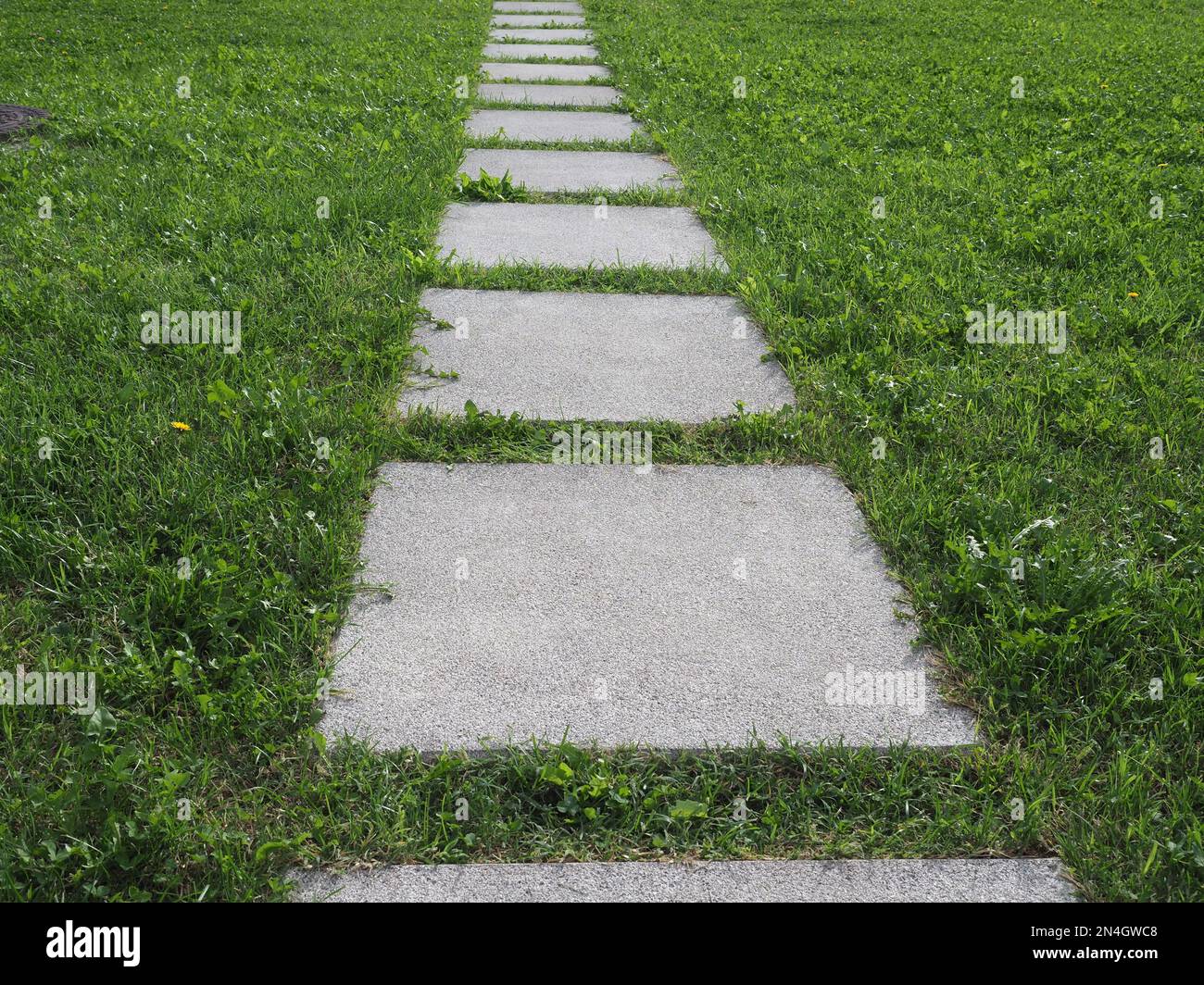 grey concrete tiles path in the grass Stock Photo - Alamy