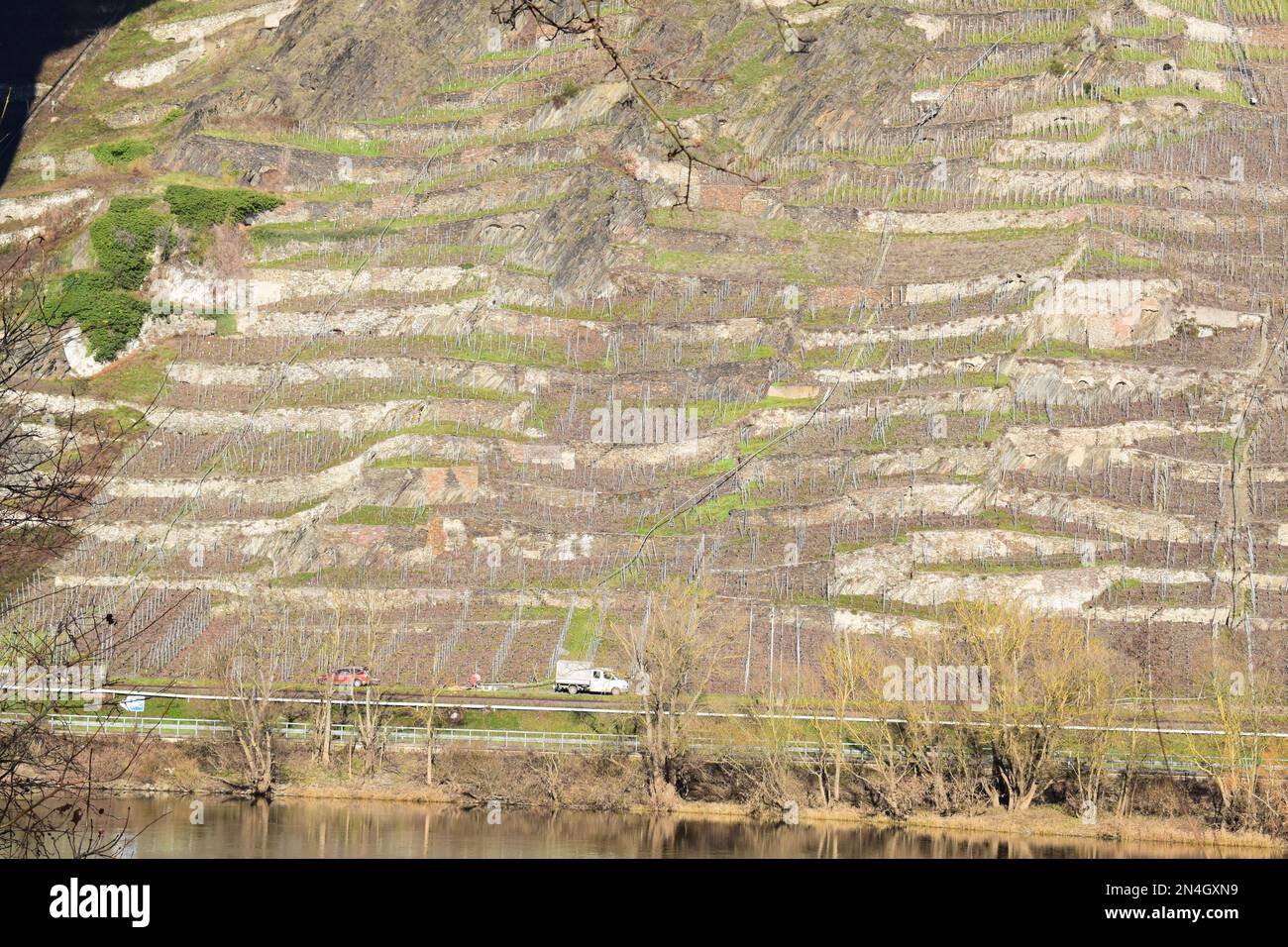 Mosel valley steep vineyards hi-res stock photography and images - Alamy