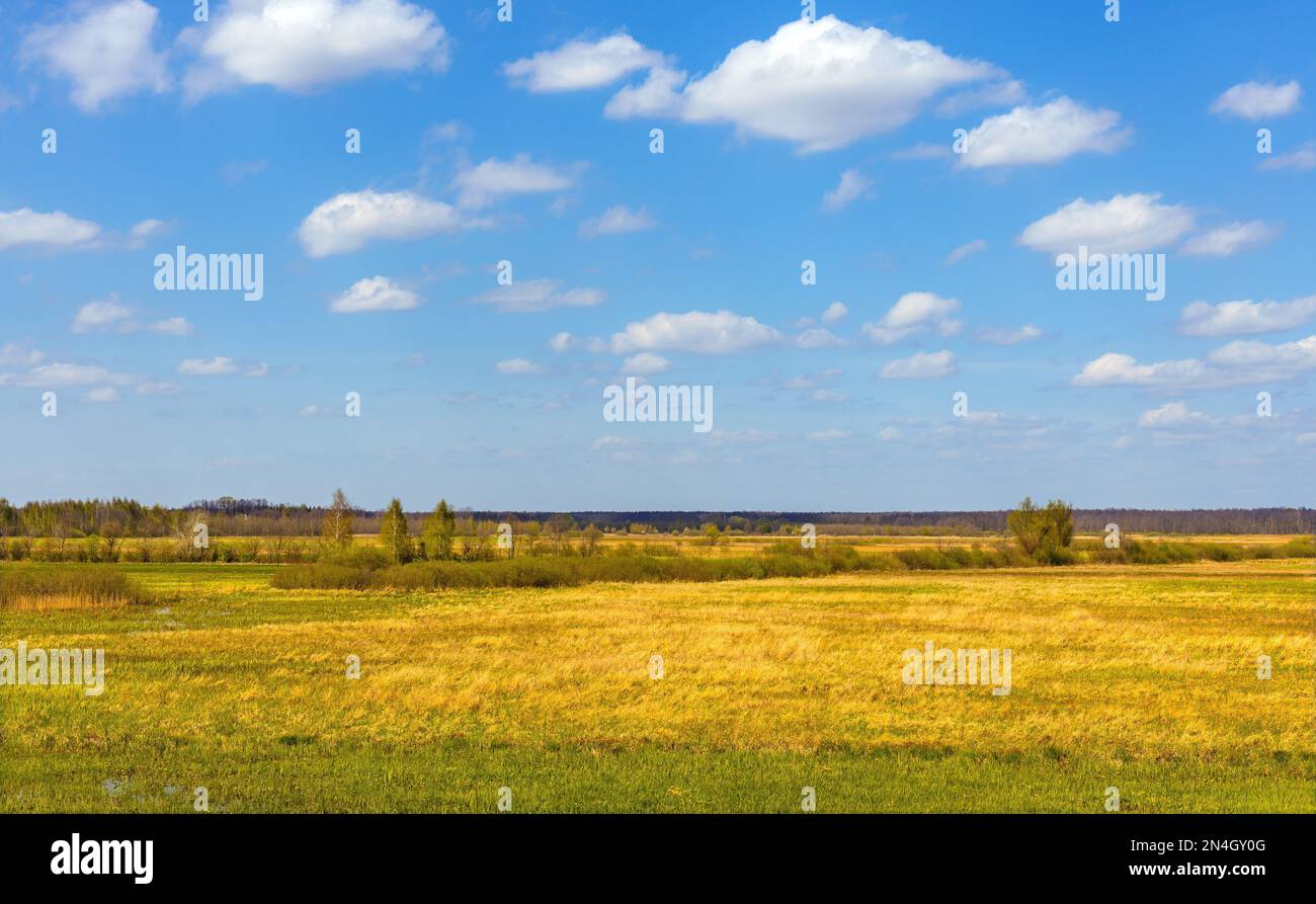 Panoramic view of Narew river grassy wetlands and bird wildlife reserve ...