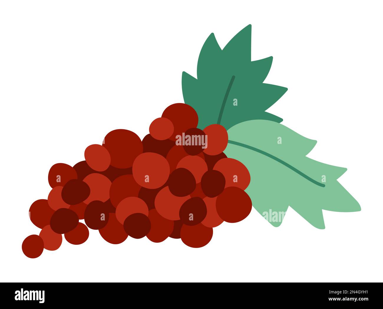 Vector cute grapes with leaves. Autumn fruit icon. Funny flat style ...
