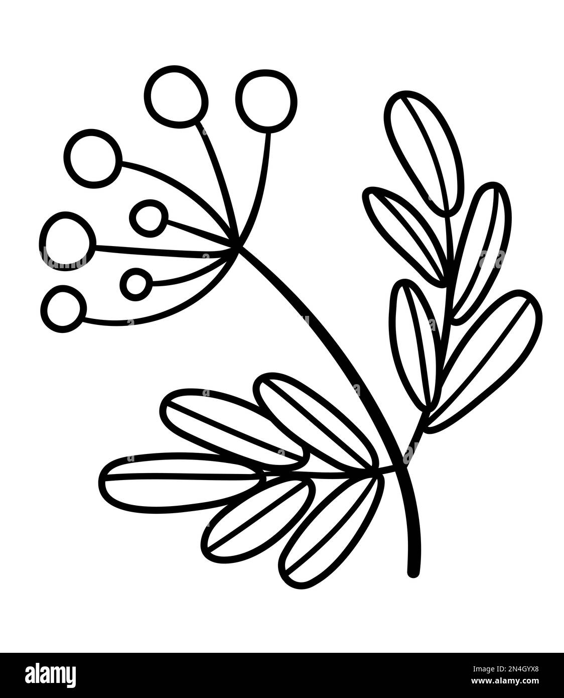 Rowan harvest Black and White Stock Photos & Images - Alamy