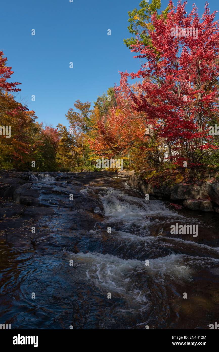 Autumn colours in the Laurentians, Brownsburg-Chatham, Quebec, Canada ...