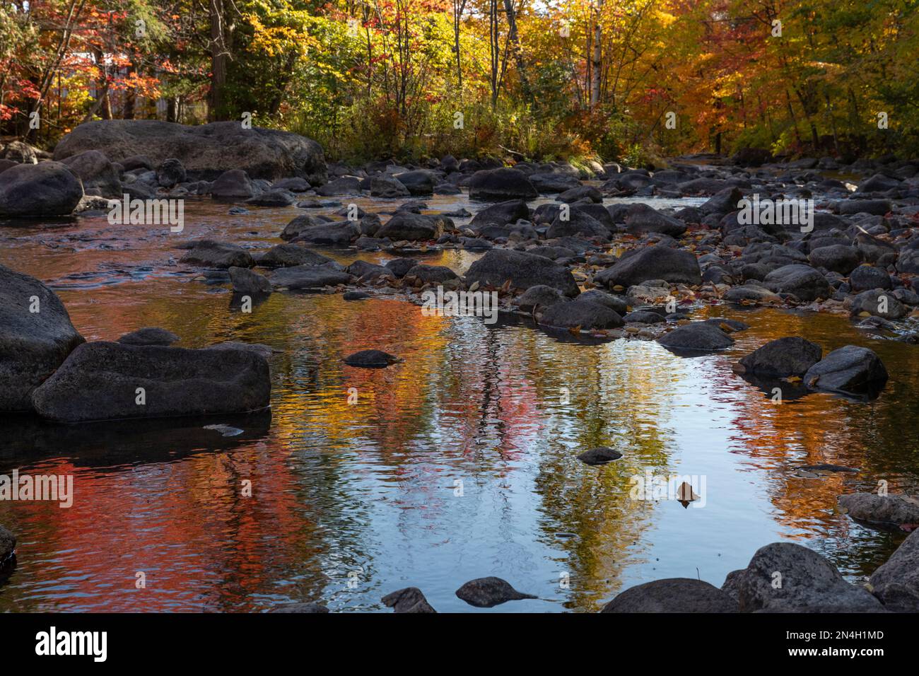 Autumn colours in the Laurentians, Brownsburg-Chatham, Quebec, Canada ...