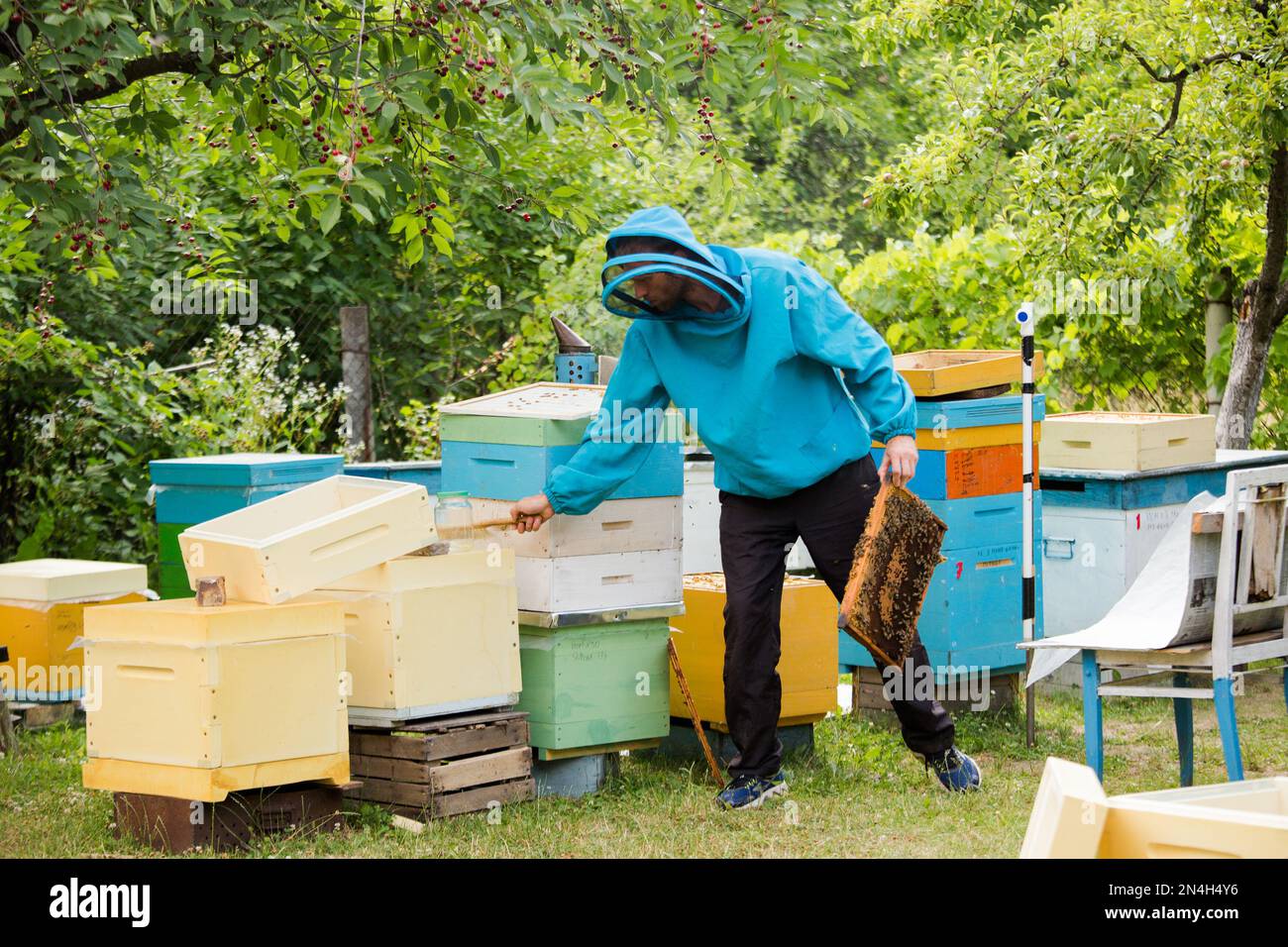 Beekeeper working on apiary. man holds frame with honeybees standing ...