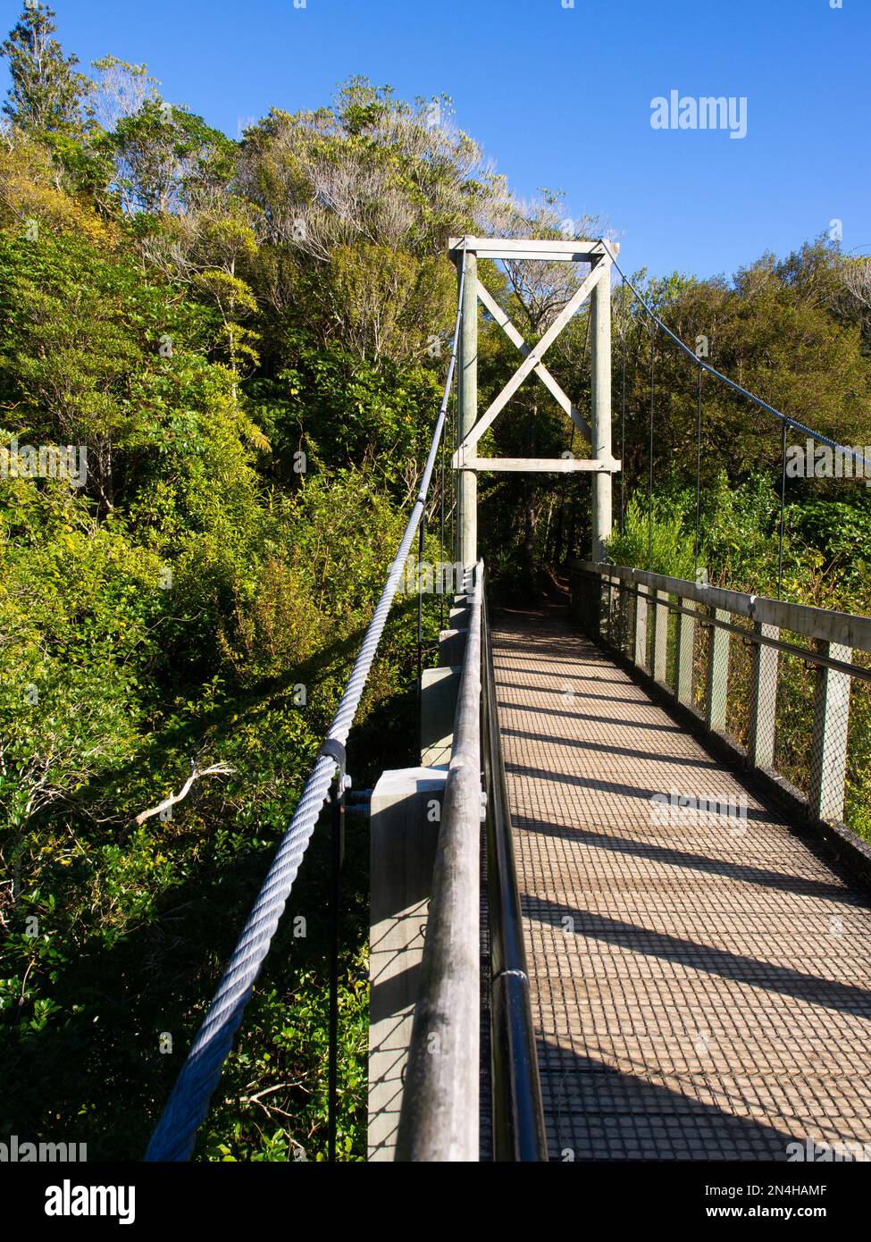Bush walkway hi-res stock photography and images - Alamy