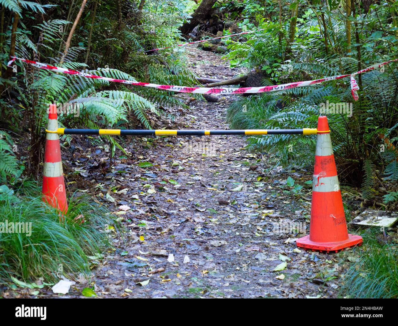 Bush Walk Track Blocked With Traffic Cones And Barrier Stock Photo - Alamy