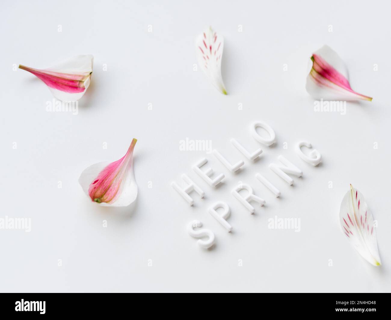 Words HELLO SPRING with pink flower petals on white background. Season ...
