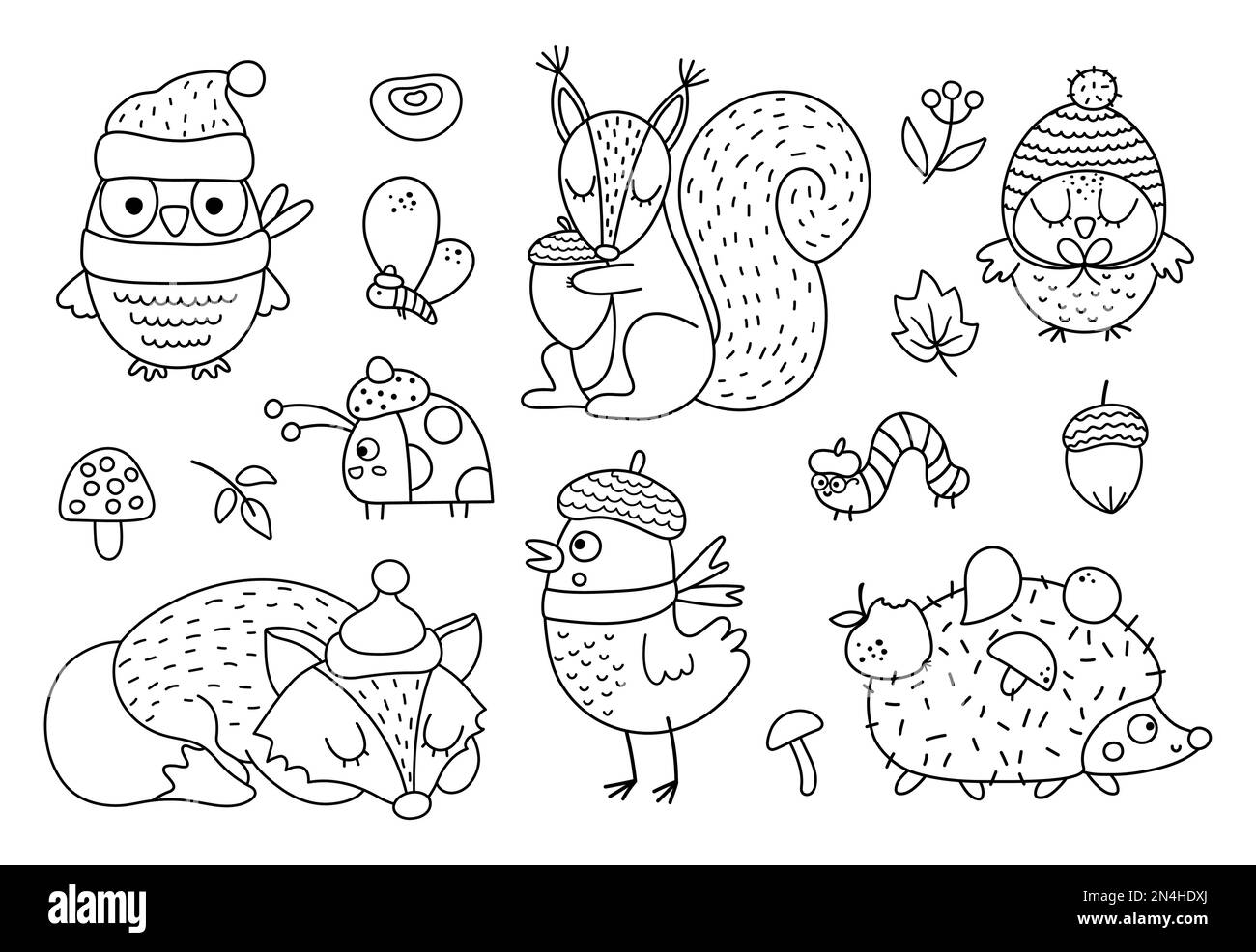 Vector black and white Autumn forest animals and insects set. Cute ...