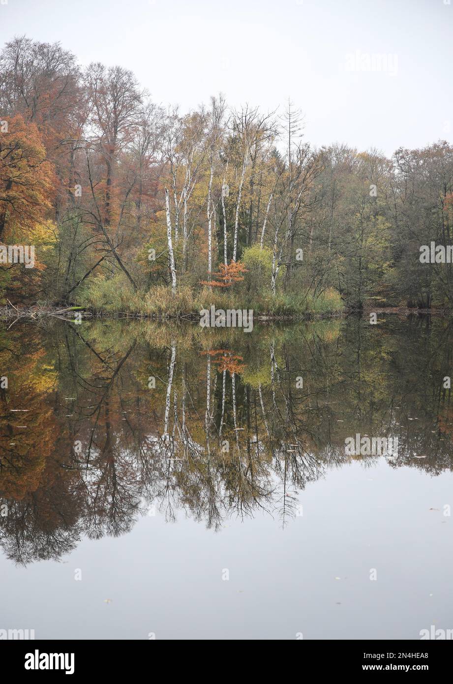 nature photos from germany Stock Photo - Alamy