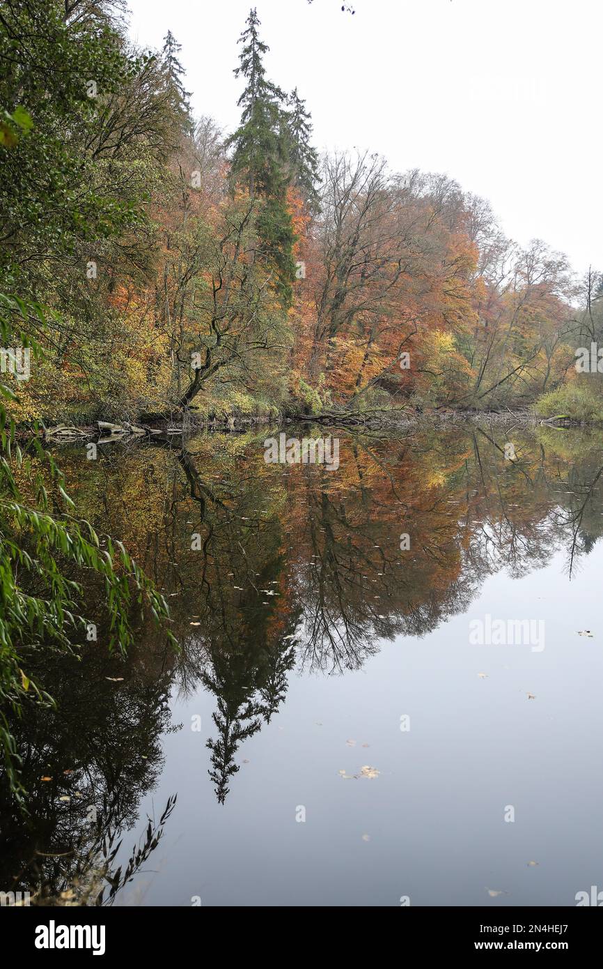 nature photos from germany Stock Photo - Alamy