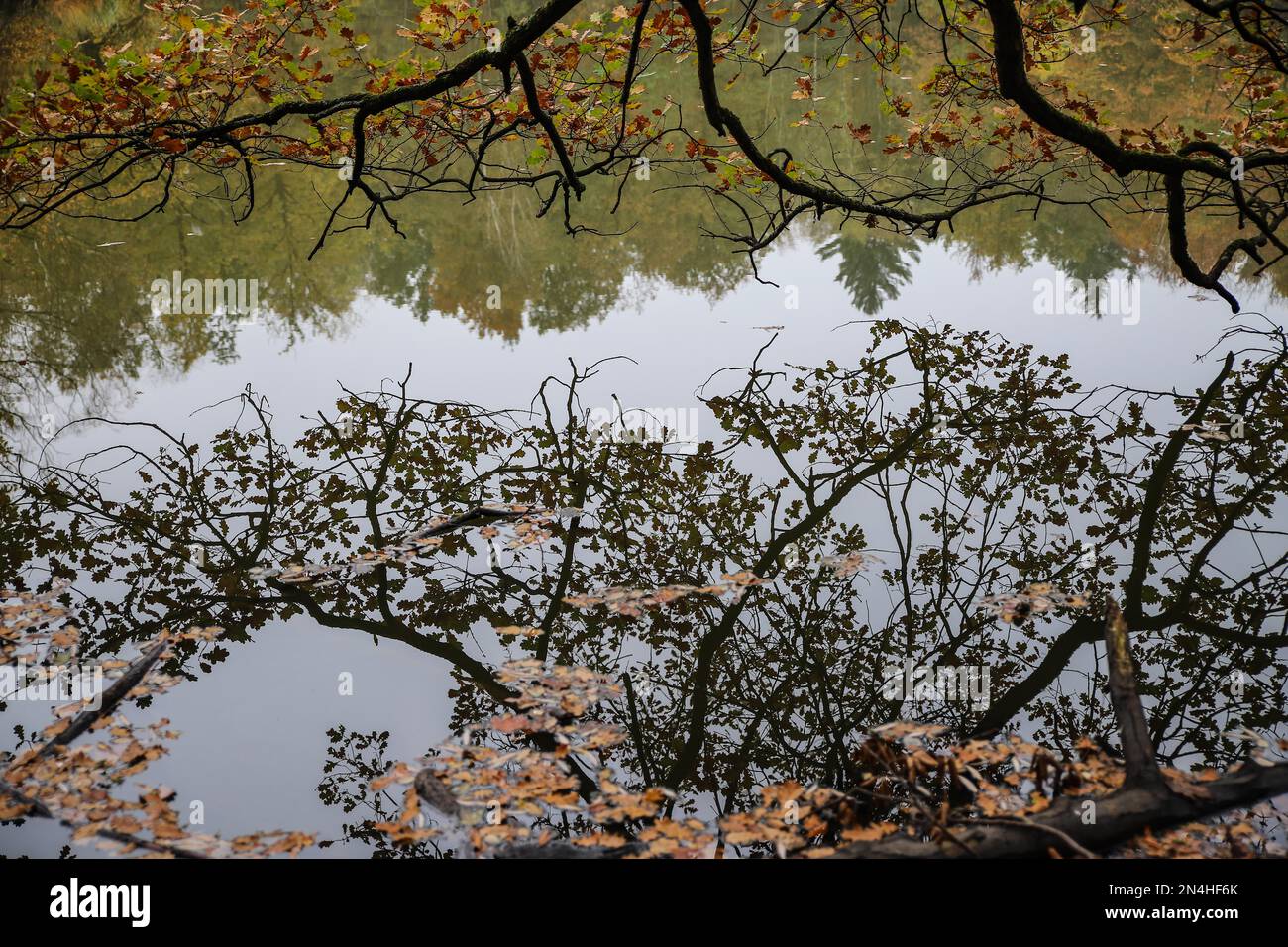 nature photos from germany Stock Photo - Alamy