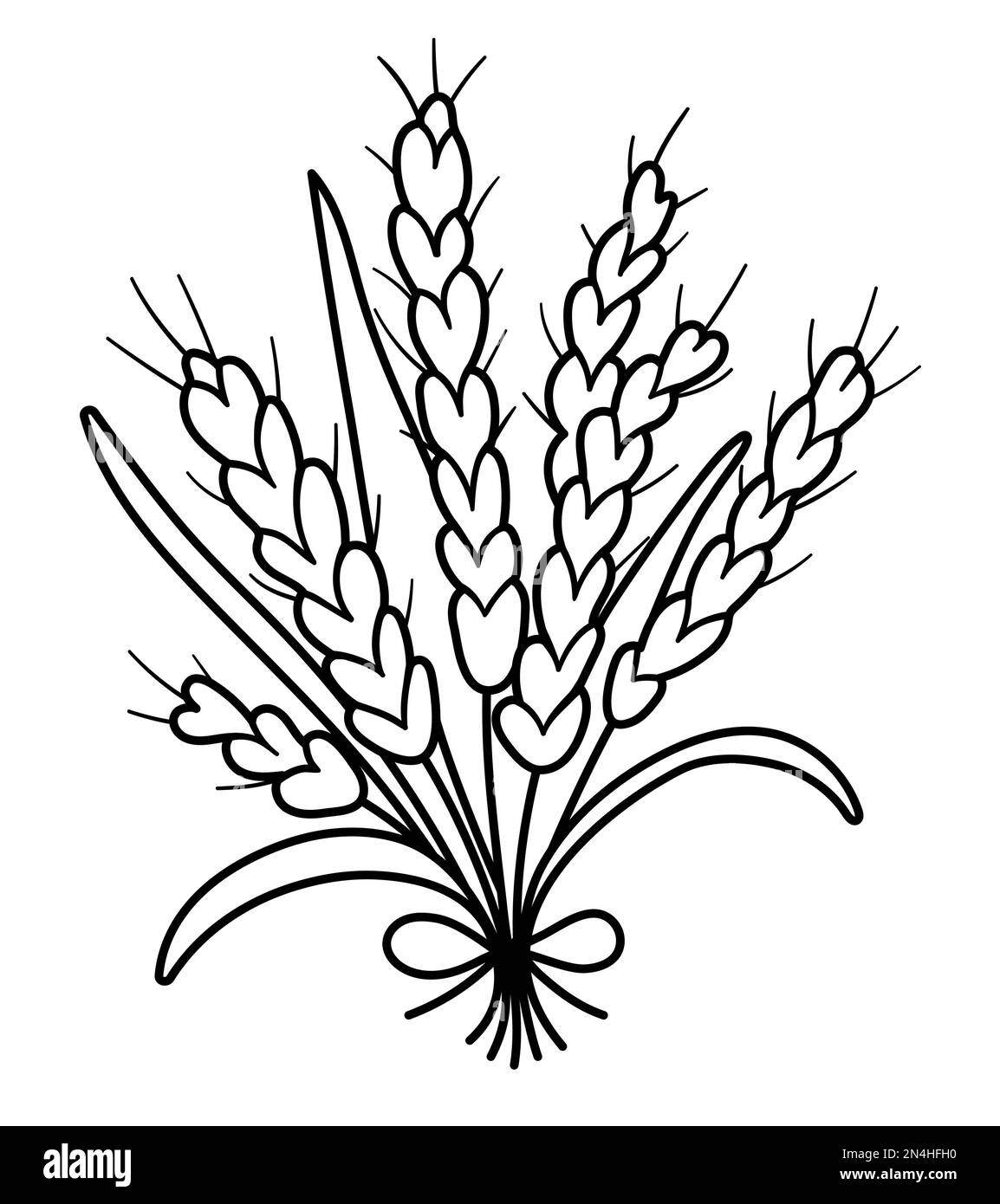 Vector black and white autumn cereals bouquet. Outline crop bunch. Line ...
