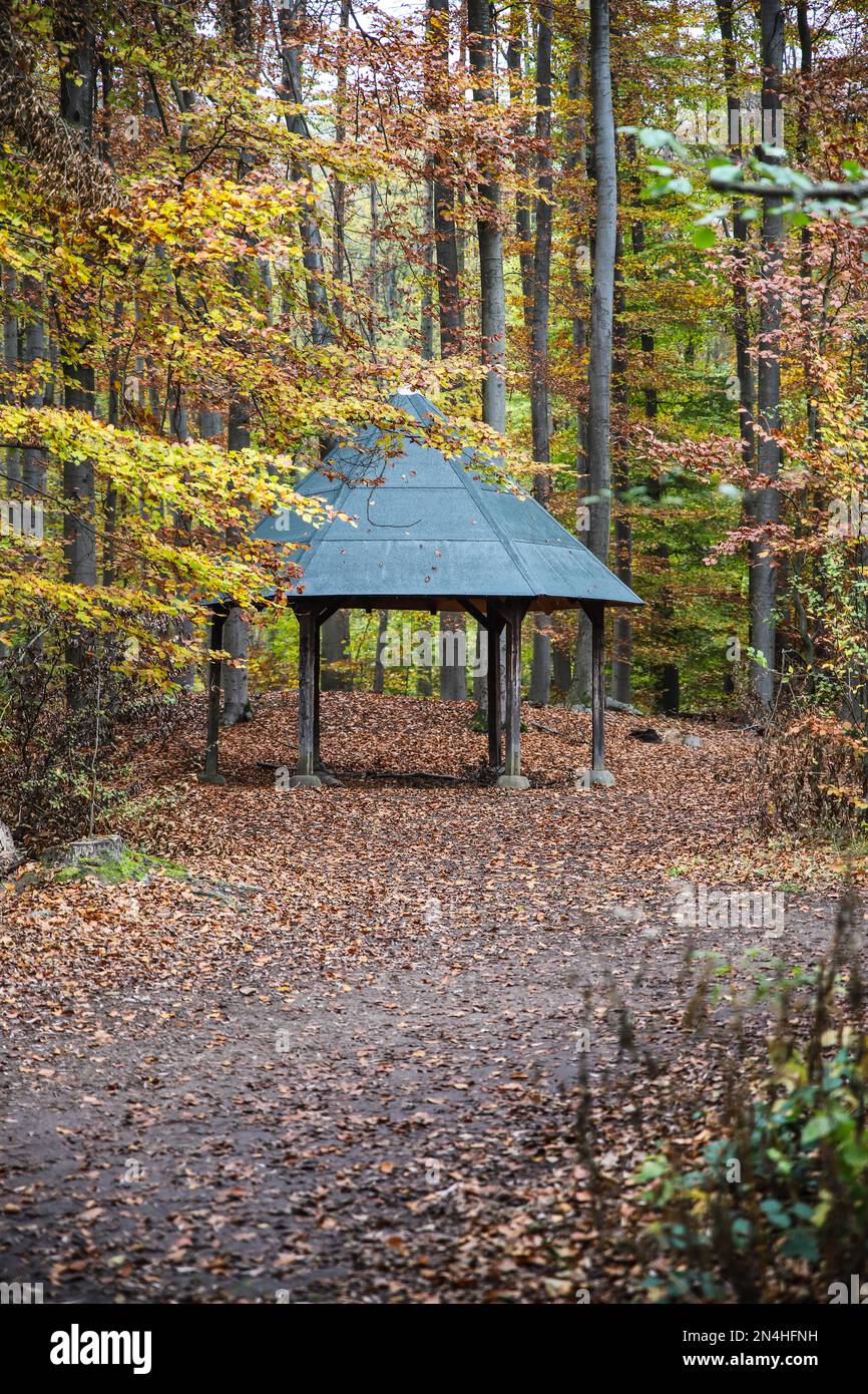 nature photos from germany Stock Photo - Alamy