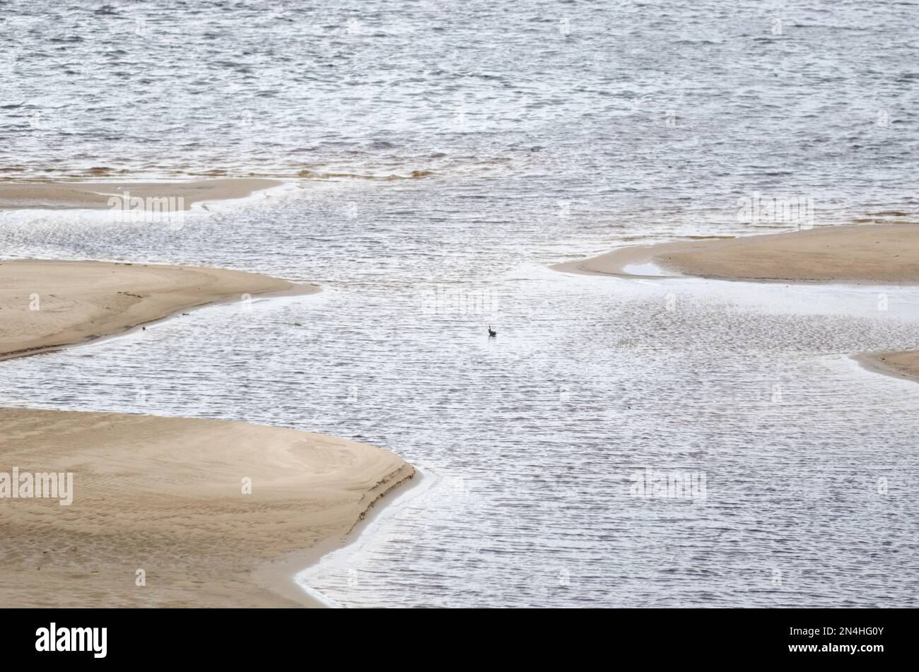 The sandy shore is filled with ripples of water of the river under the ...