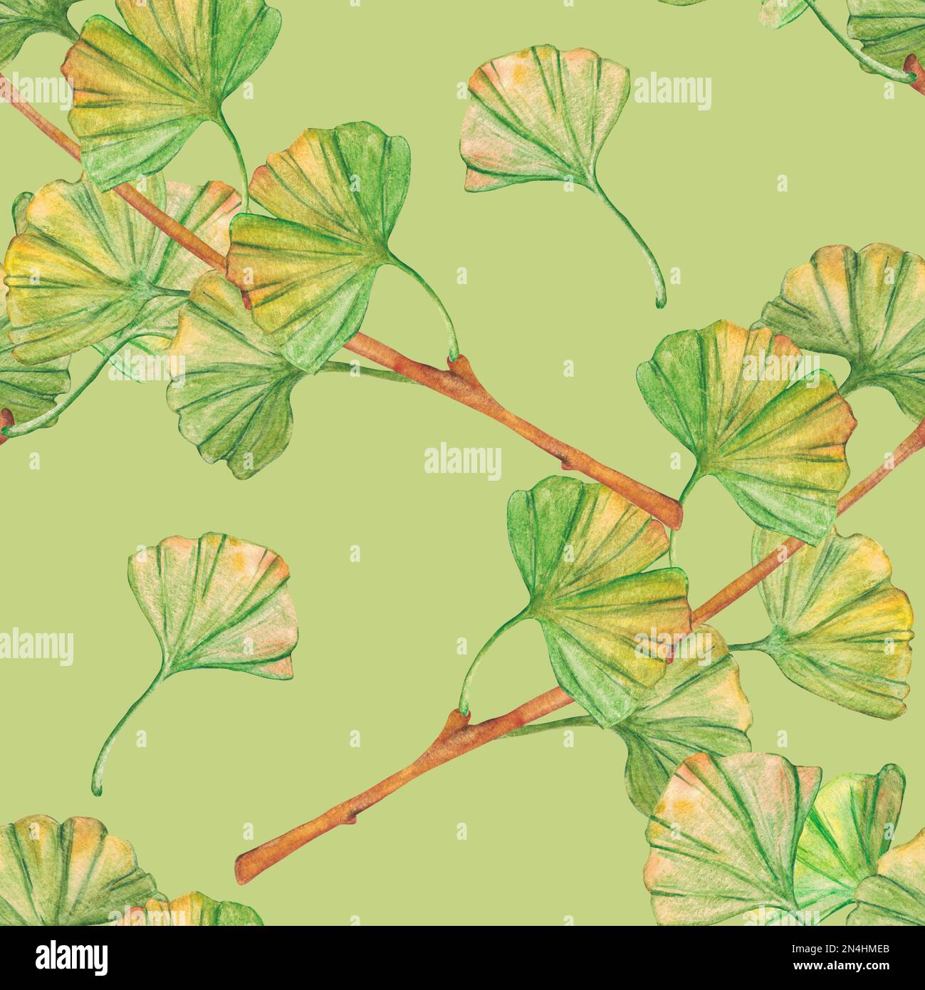 Seamless pattern ginkgo biloba green and yellow leaves, print botany ...