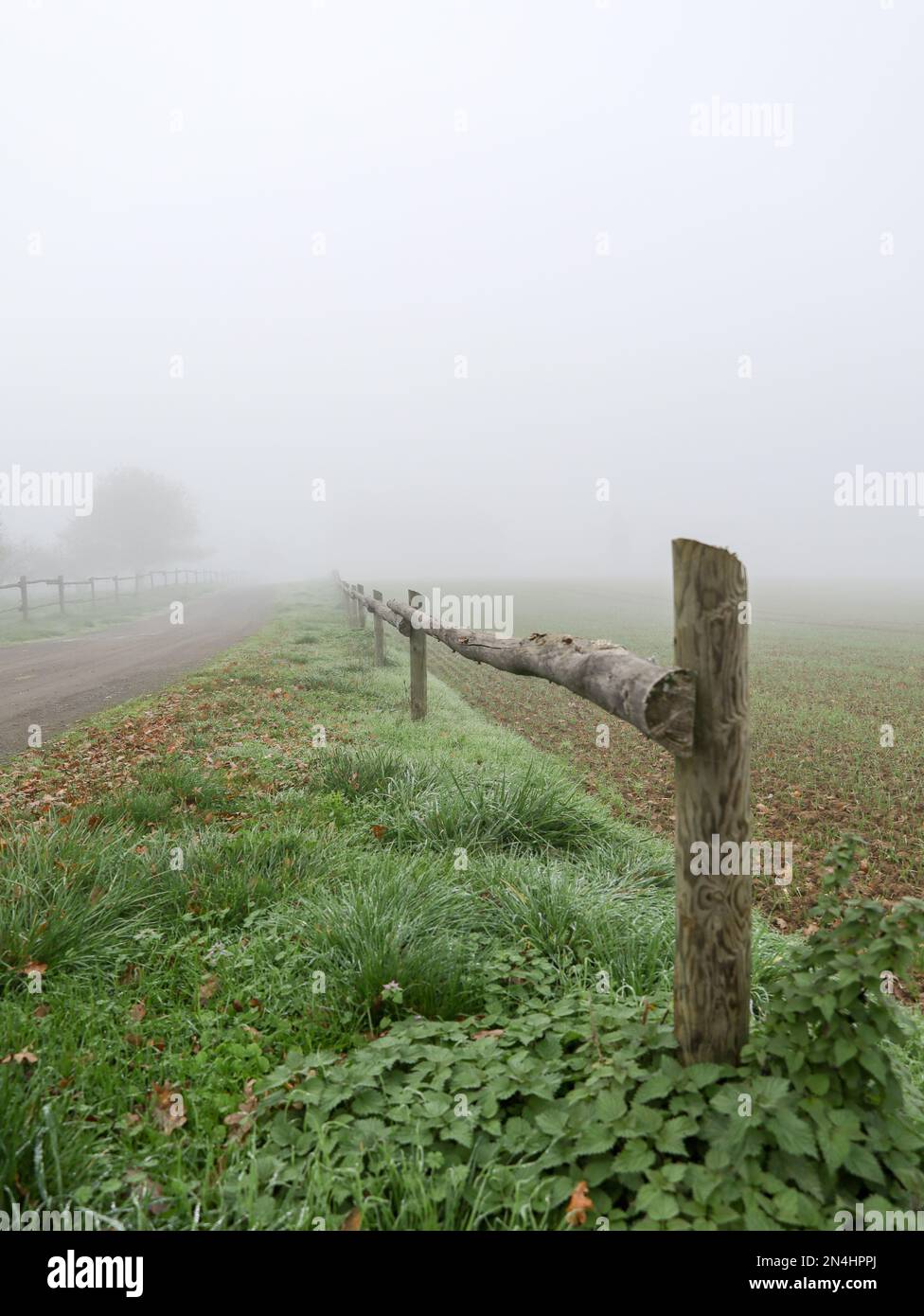 nature photos from germany Stock Photo - Alamy