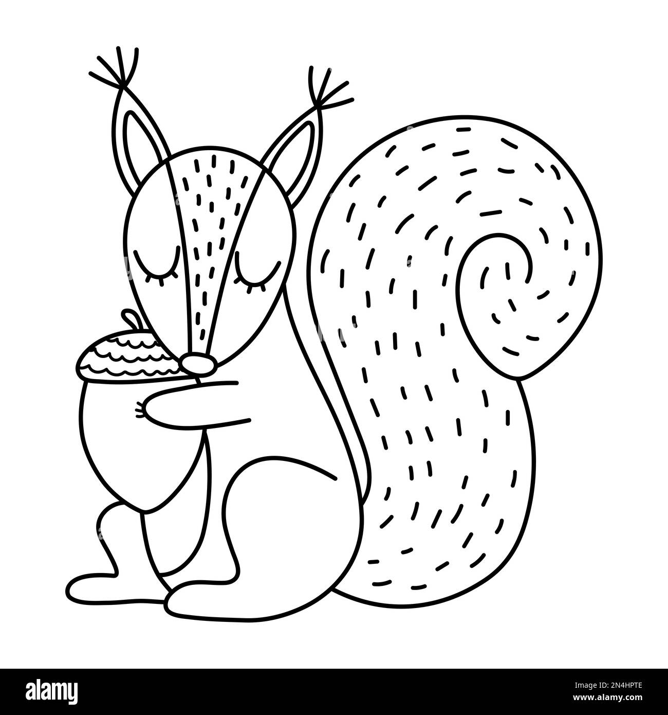 Cute black and white squirrel with acorn. Vector autumn character ...