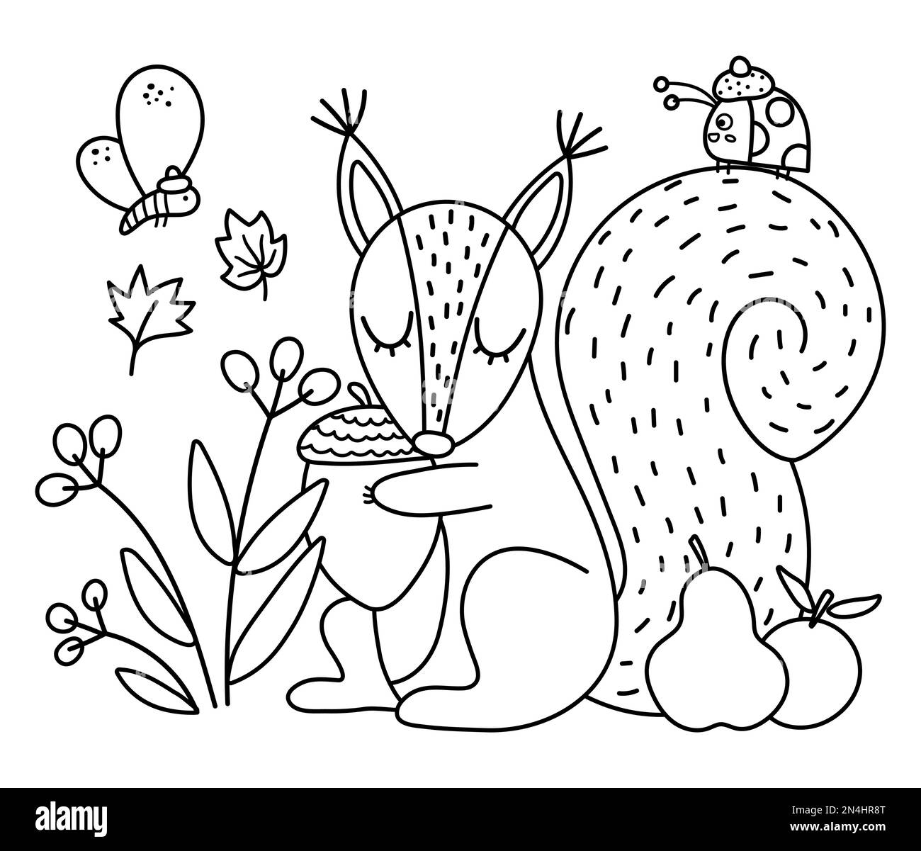 Black and white squirrel with acorn insects, fruits. Vector outline ...