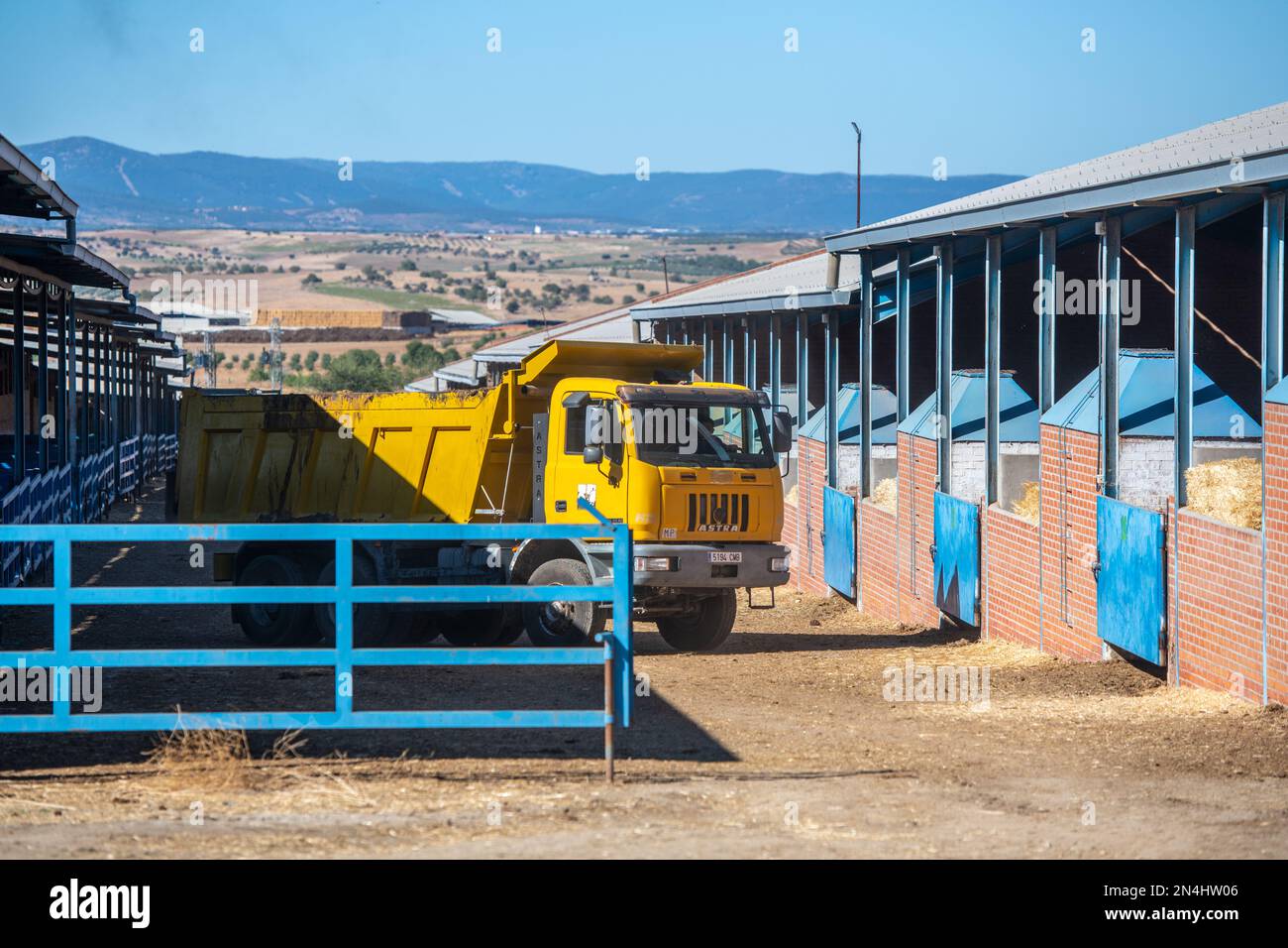 Beef cattle farm outside of Toledo, Spain Stock Photo - Alamy