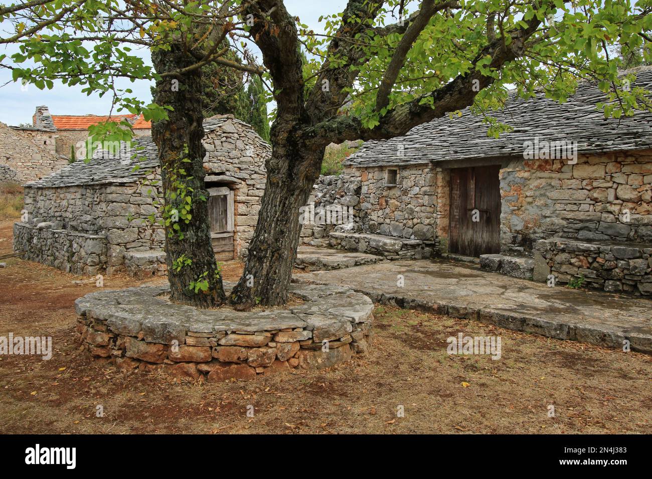 Humac, ghost village, abandoned village on Hvar island, Croatia Stock ...