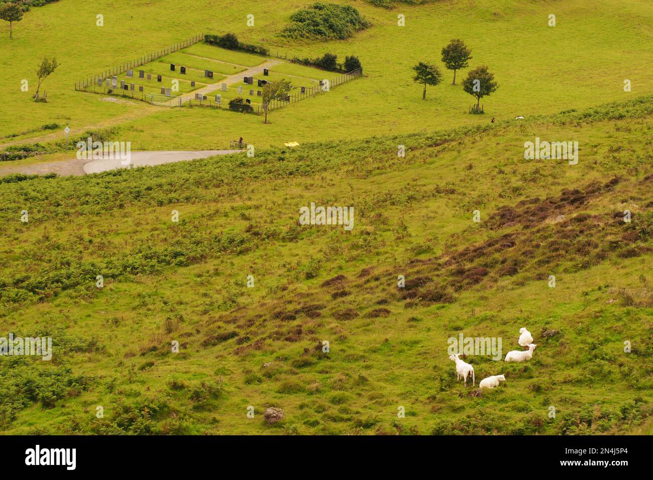 Looking down from a viewpoint to Dervaig, Mull, Scotland, showing the ...