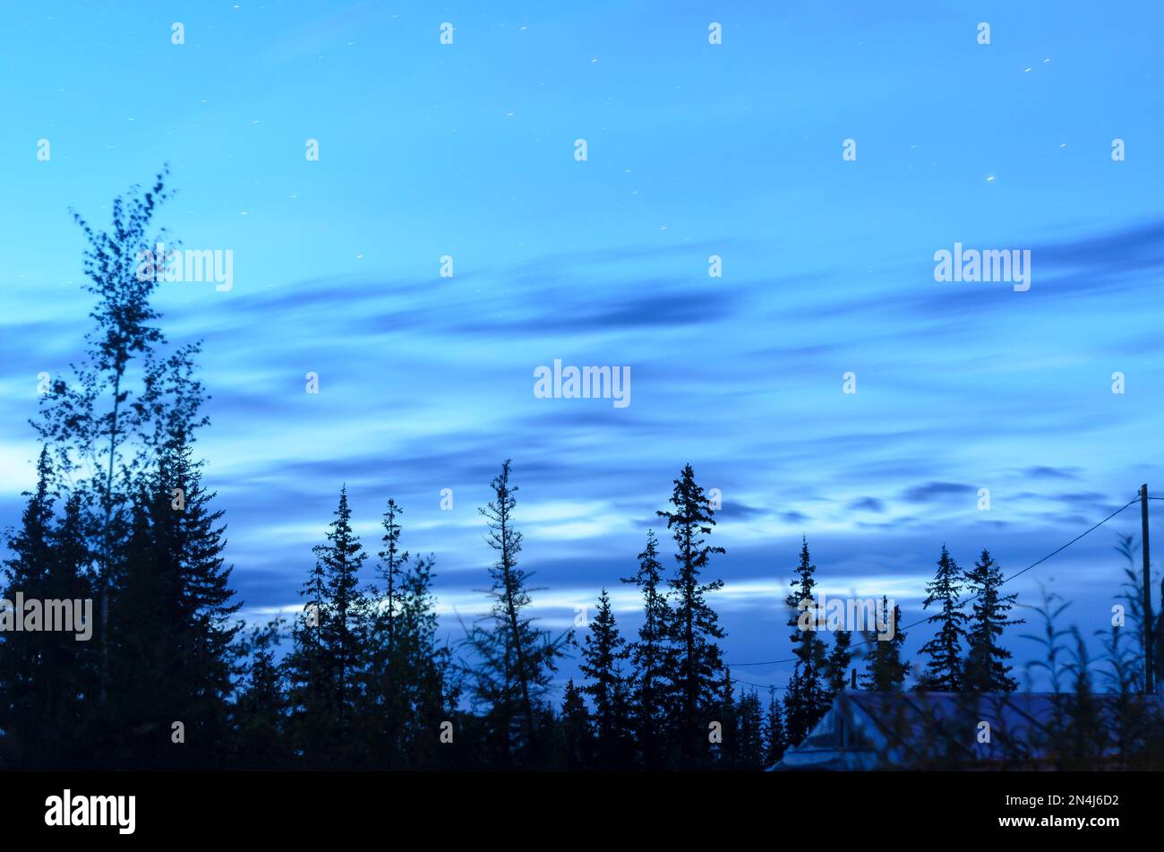 Dark blue sky with clouds at night over the spruce forests of the ...