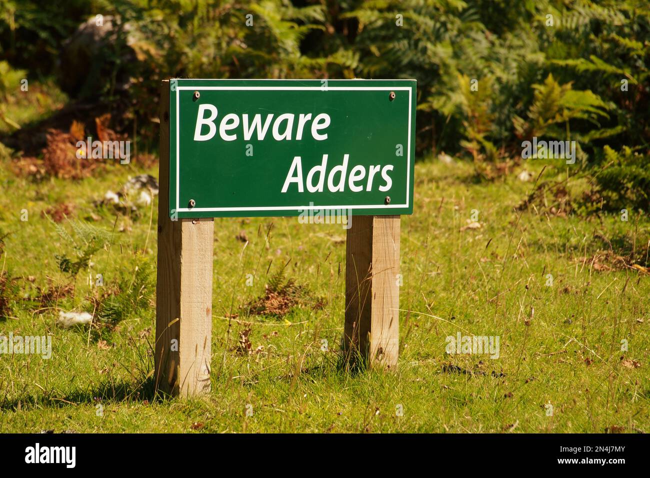 Warning of adders hi-res stock photography and images - Alamy