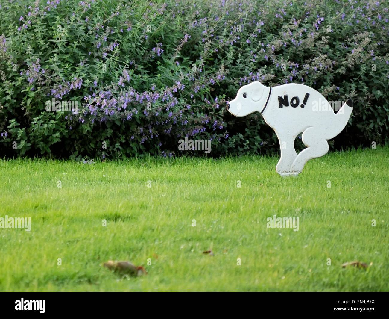 Young pooping hi-res stock photography and images - Alamy