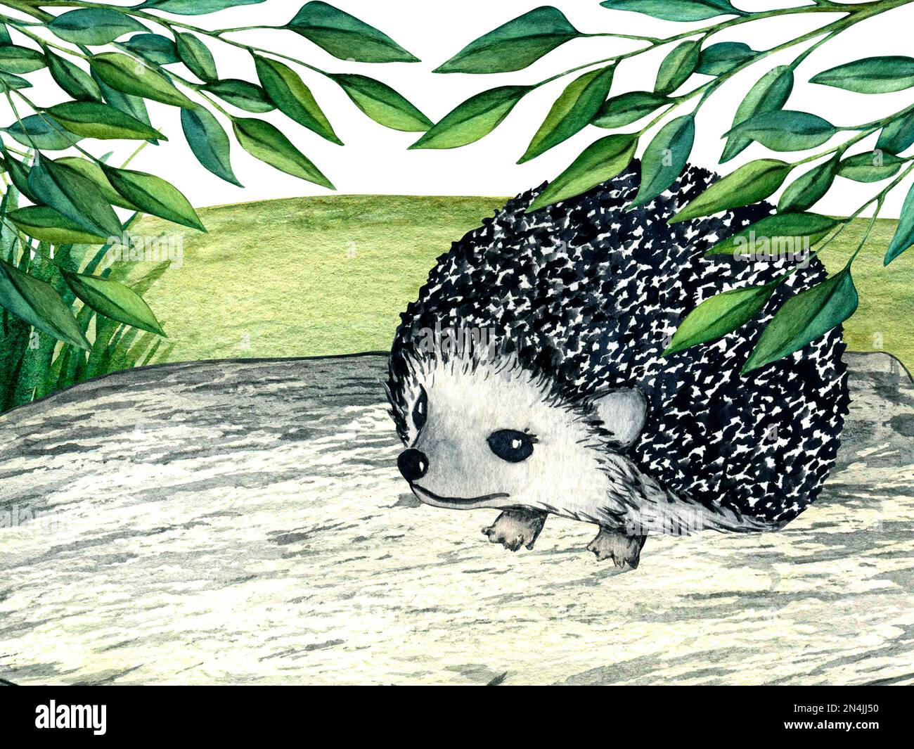 Watercolor wild forest animals: hedgehog on stone. Woodland hand ...