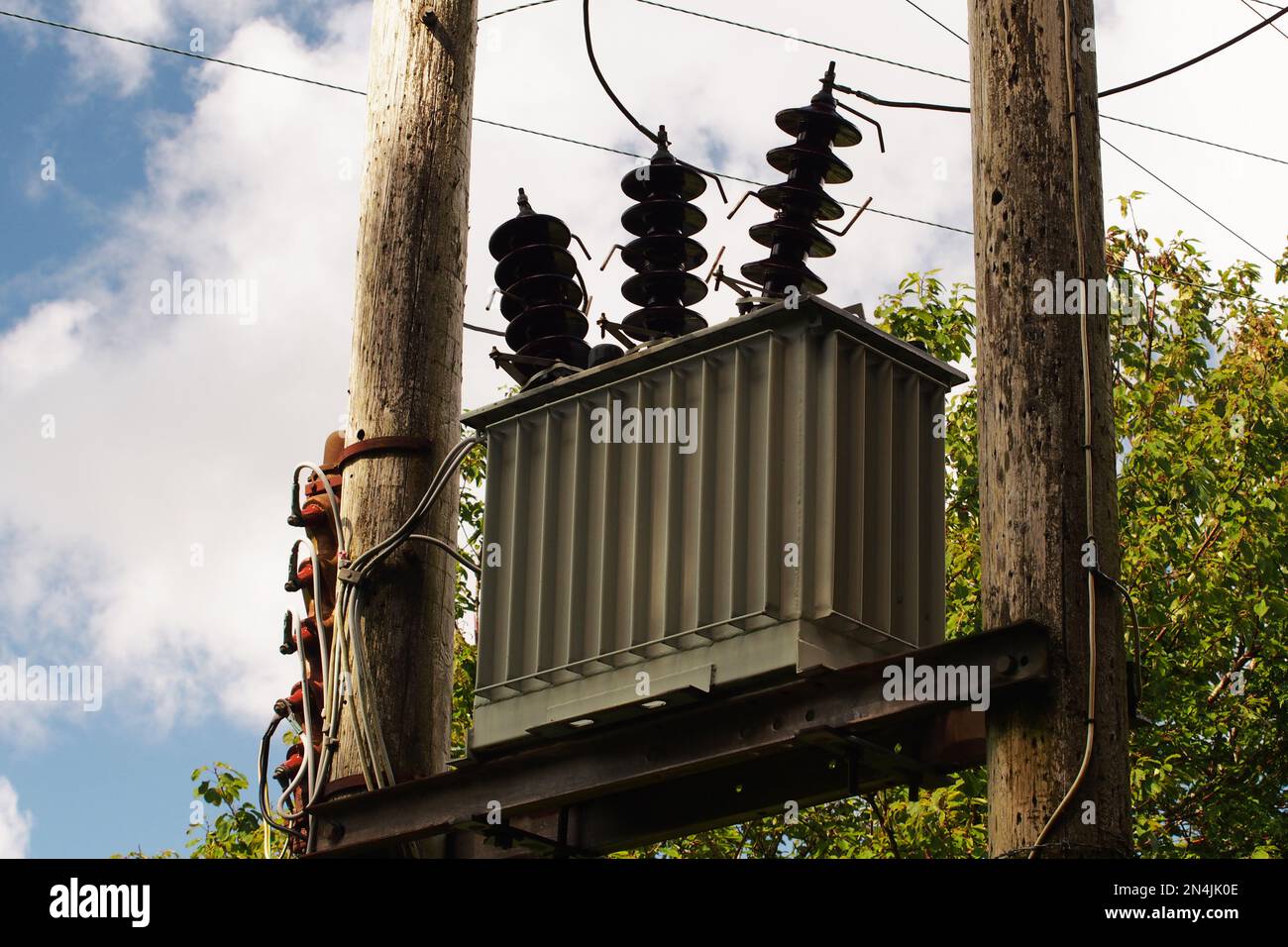 A utility pole carrying various wires and services to local properties ...