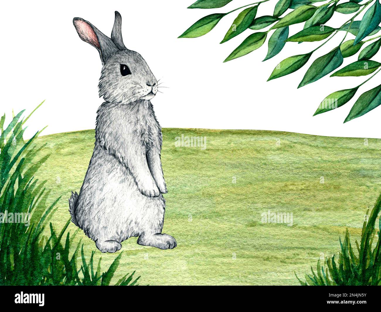 Watercolor wild forest animals: hare, rabbit on forest lawn scene ...