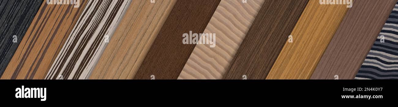 Samples of wood of different species. Pieces of wood veneer in ...