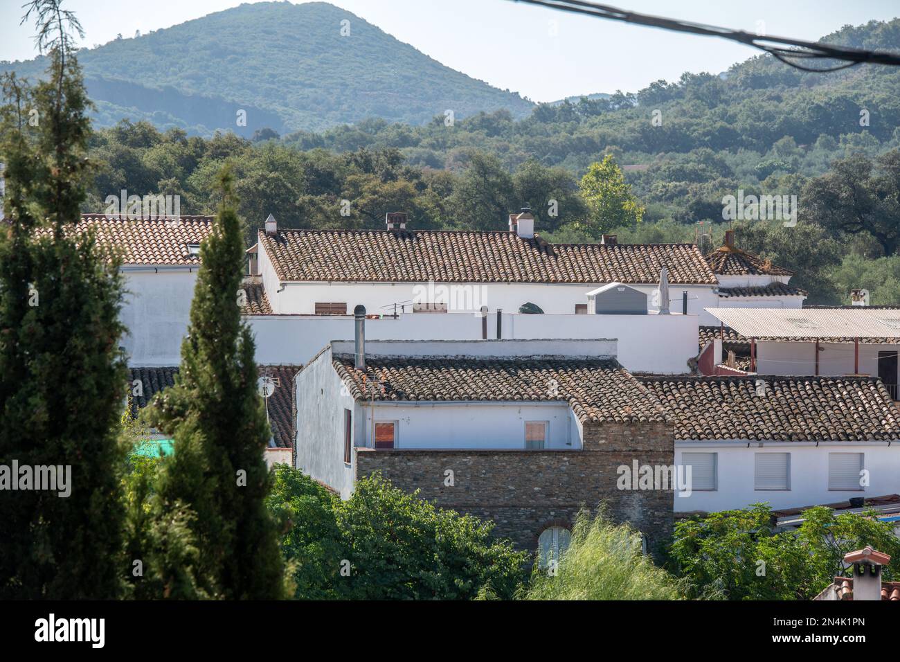 Production of iberian ham (cured ham), Puerto Gil, Spain Stock Photo ...