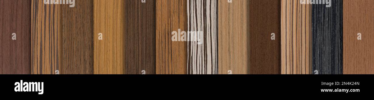 Samples of wood of different species. Pieces of wood veneer in ...