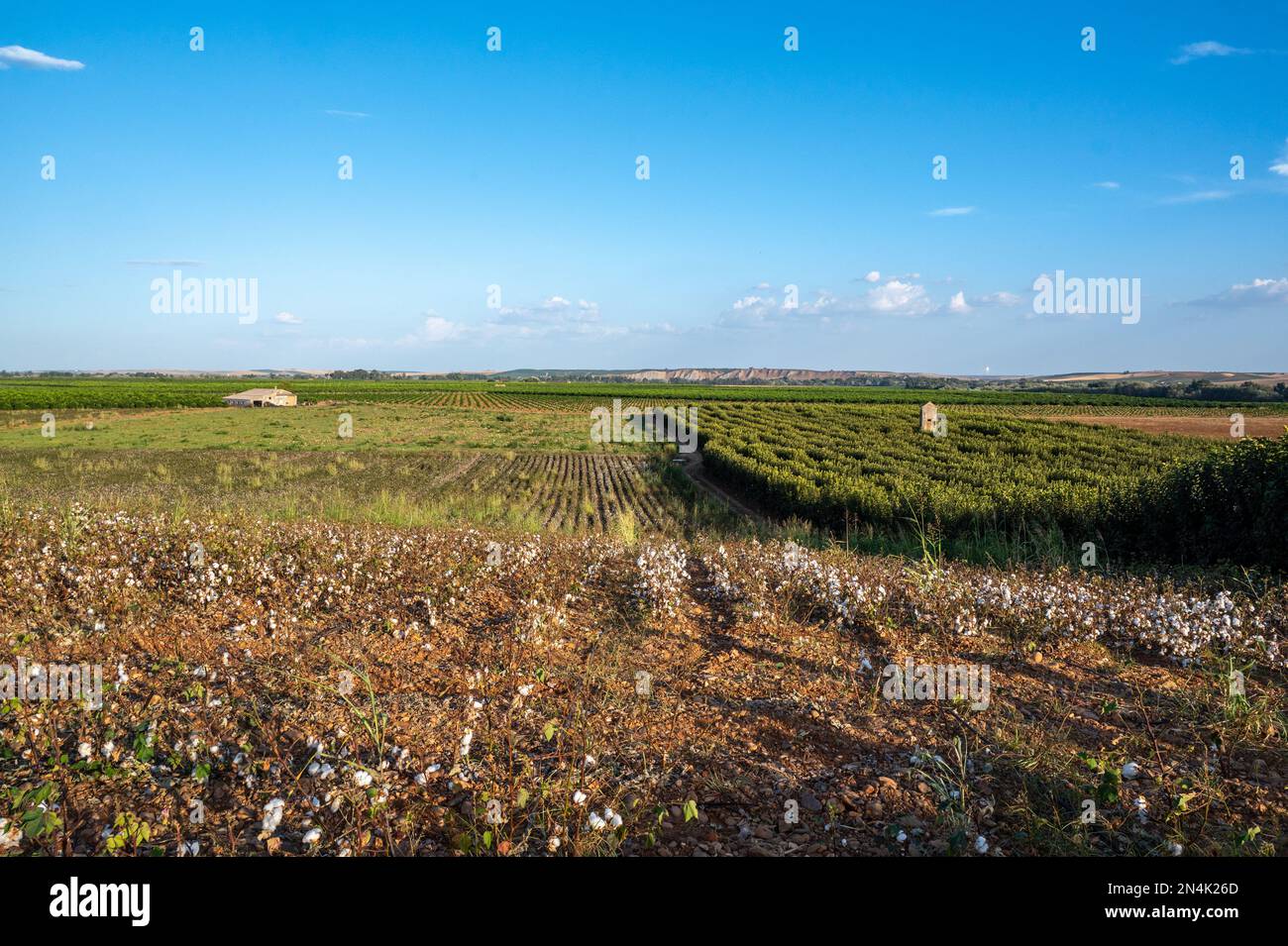Cereal and citrus cooperative, Puerto Gil, Spain Stock Photo - Alamy