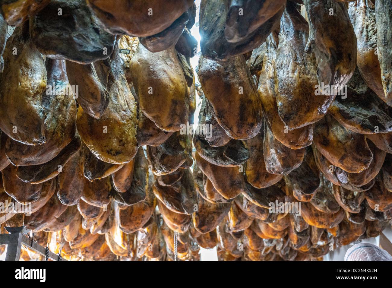 Production of iberian ham (cured ham), Puerto Gil, Spain Stock Photo ...