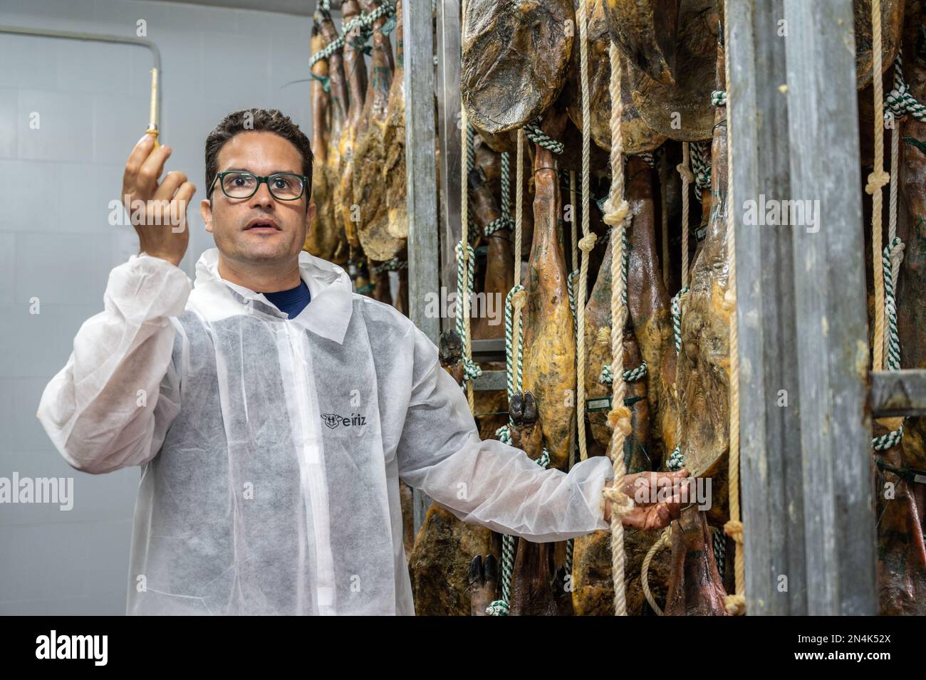 Production of iberian ham (cured ham), Puerto Gil, Spain Stock Photo ...