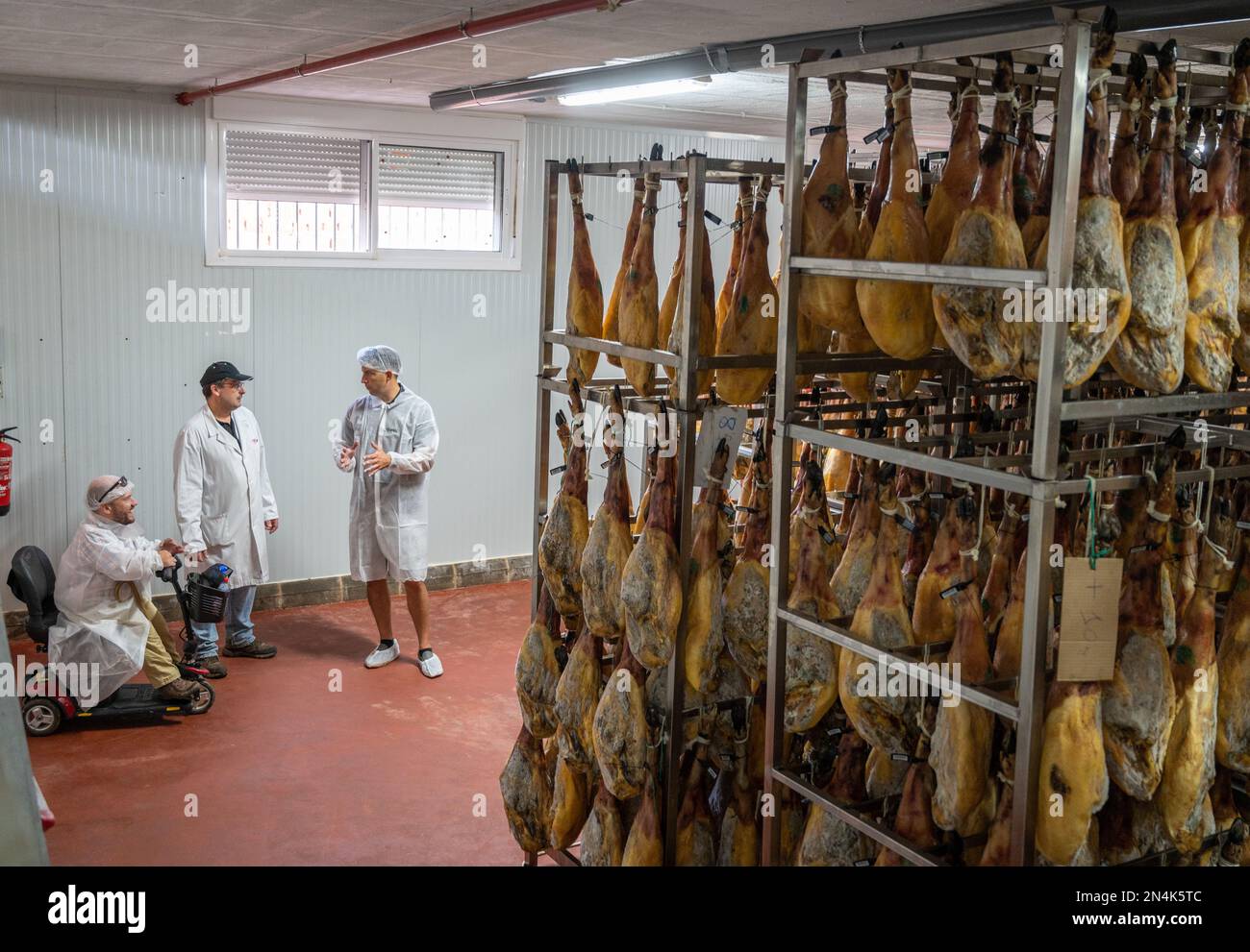 Production of iberian ham (cured ham), Puerto Gil, Spain Stock Photo ...