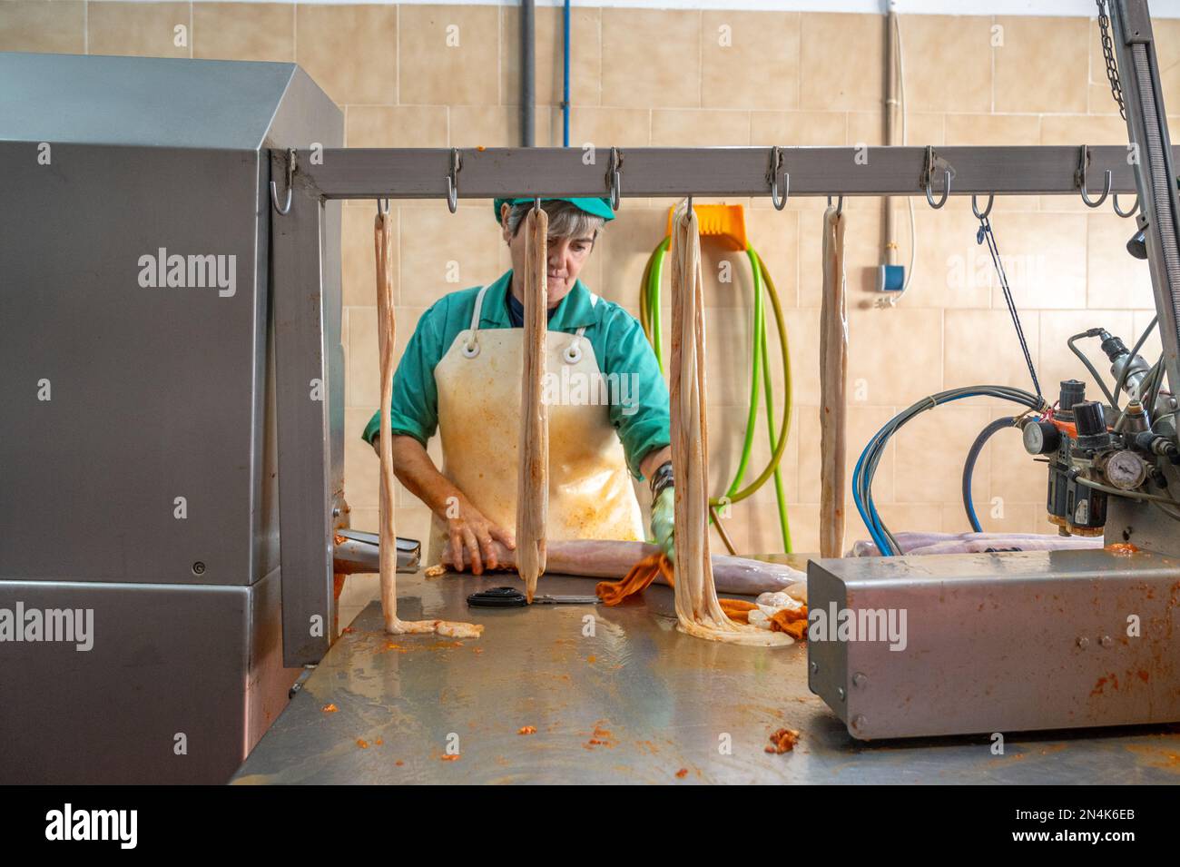 Production of iberian ham (cured ham), Puerto Gil, Spain Stock Photo ...
