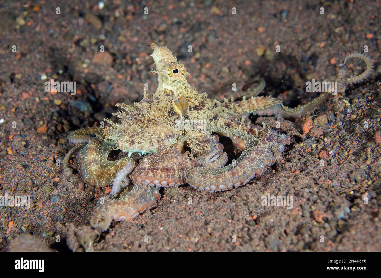 Night time marine one hi-res stock photography and images - Alamy