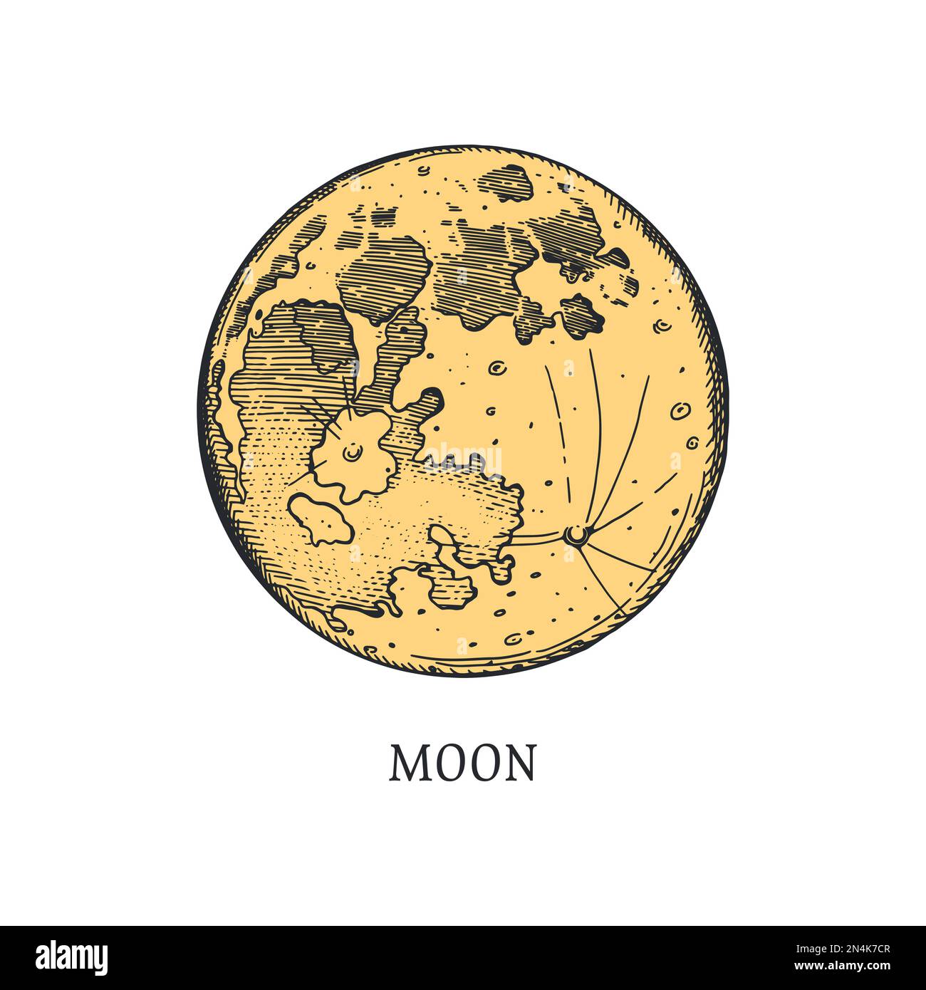 Moon vector illustration. full moon Stock Vector Image & Art - Alamy