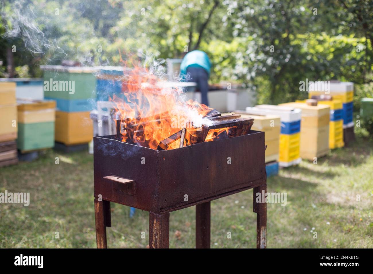 Burning frames of contaminated wax moths. Destruction of virus that ...