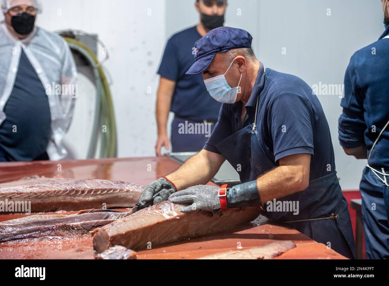 Seafood canning process hi-res stock photography and images - Alamy