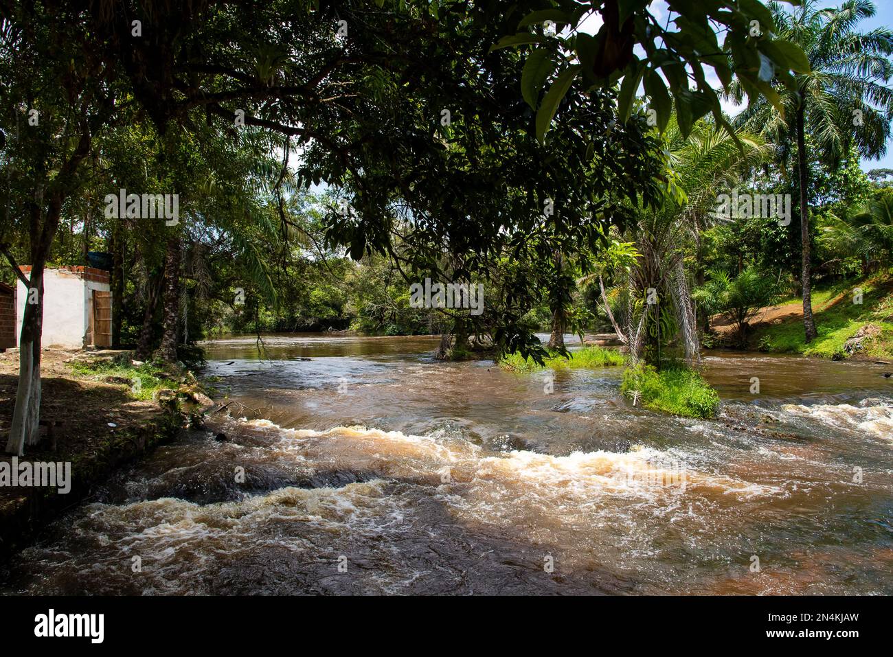 River flowing in the forest. City of Valenca, Brazil Stock Photo - Alamy