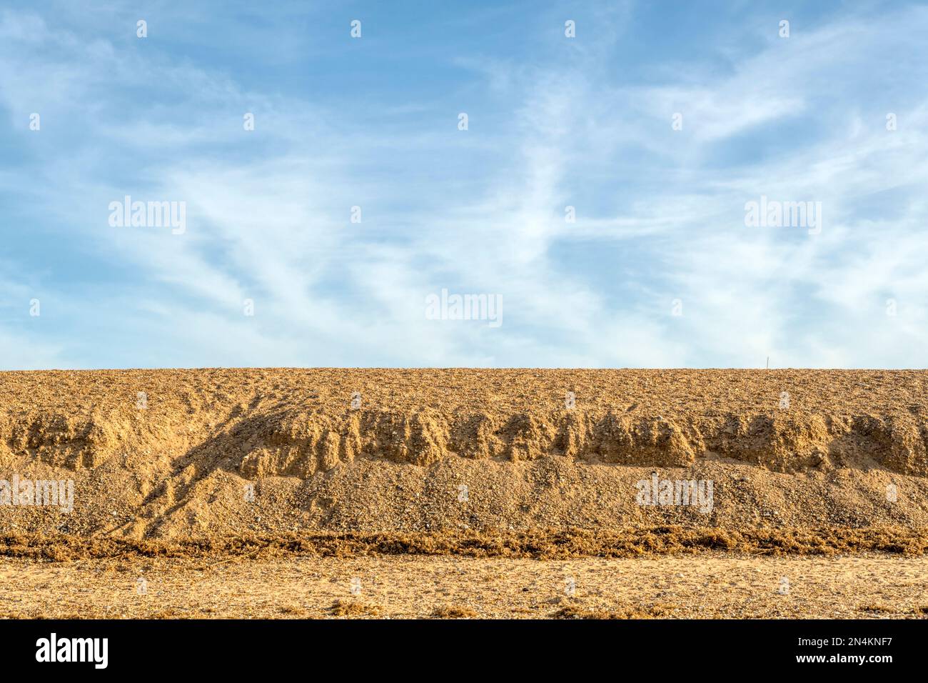 Cliffing of shingle beach above high tide line on the east shore of The ...