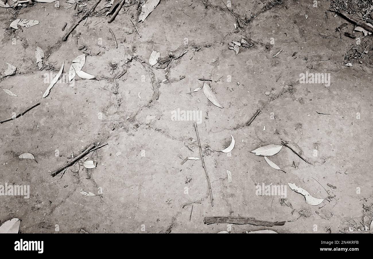 Texture of ferruginous red Ferralsol or laterite soil in Table Mountain ...