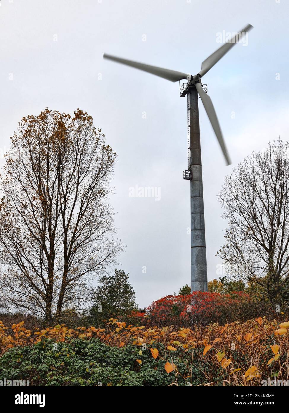 A vertical shot of a wind turbine, converting the kinetic energy of ...