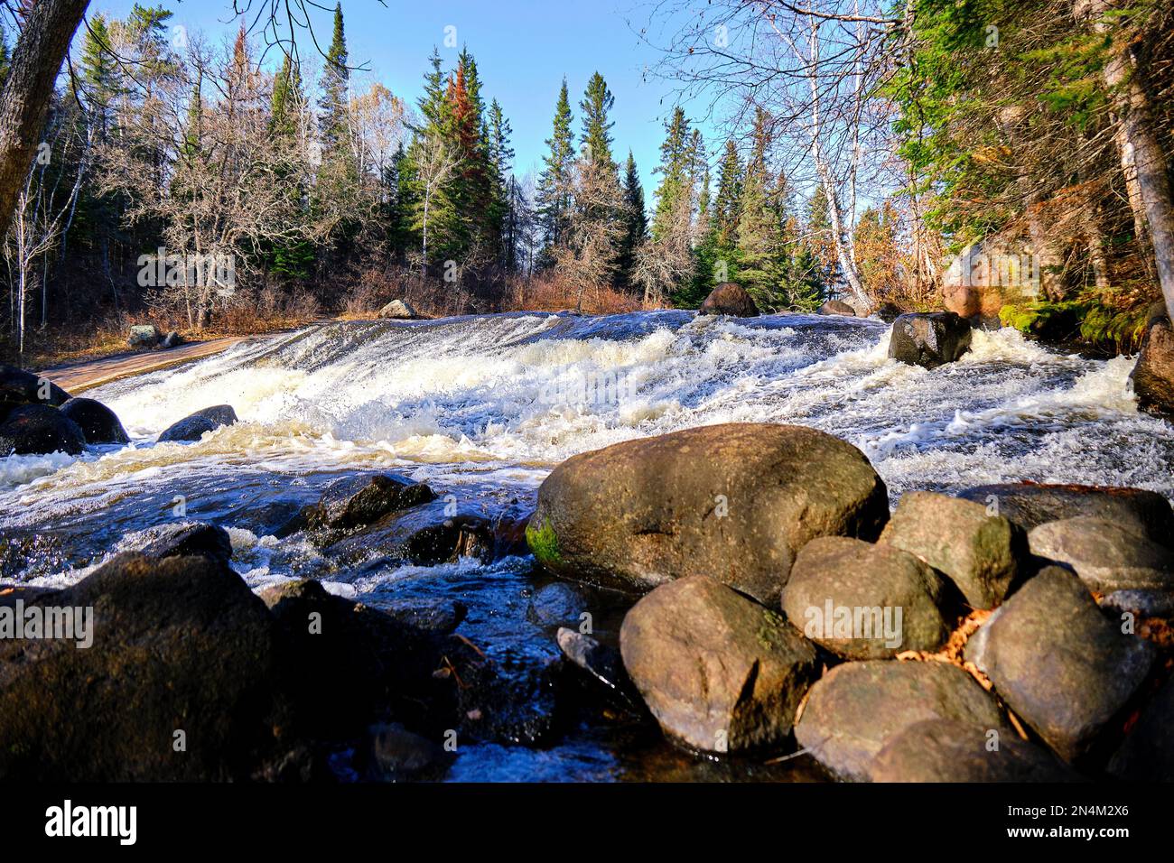 A forest landscape with a small waterfall and green trees Stock Photo ...