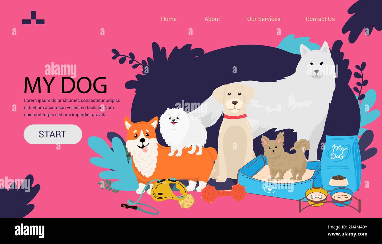 large dogs border set, front view spitz, french mastiff, labrador ...